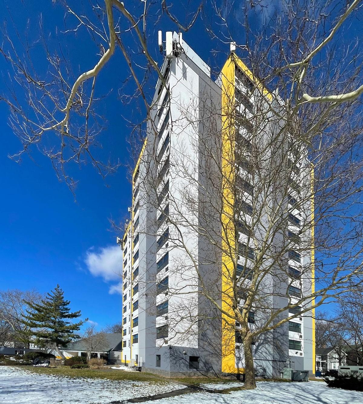 Edith Johnson Renovation | INTUS Windows