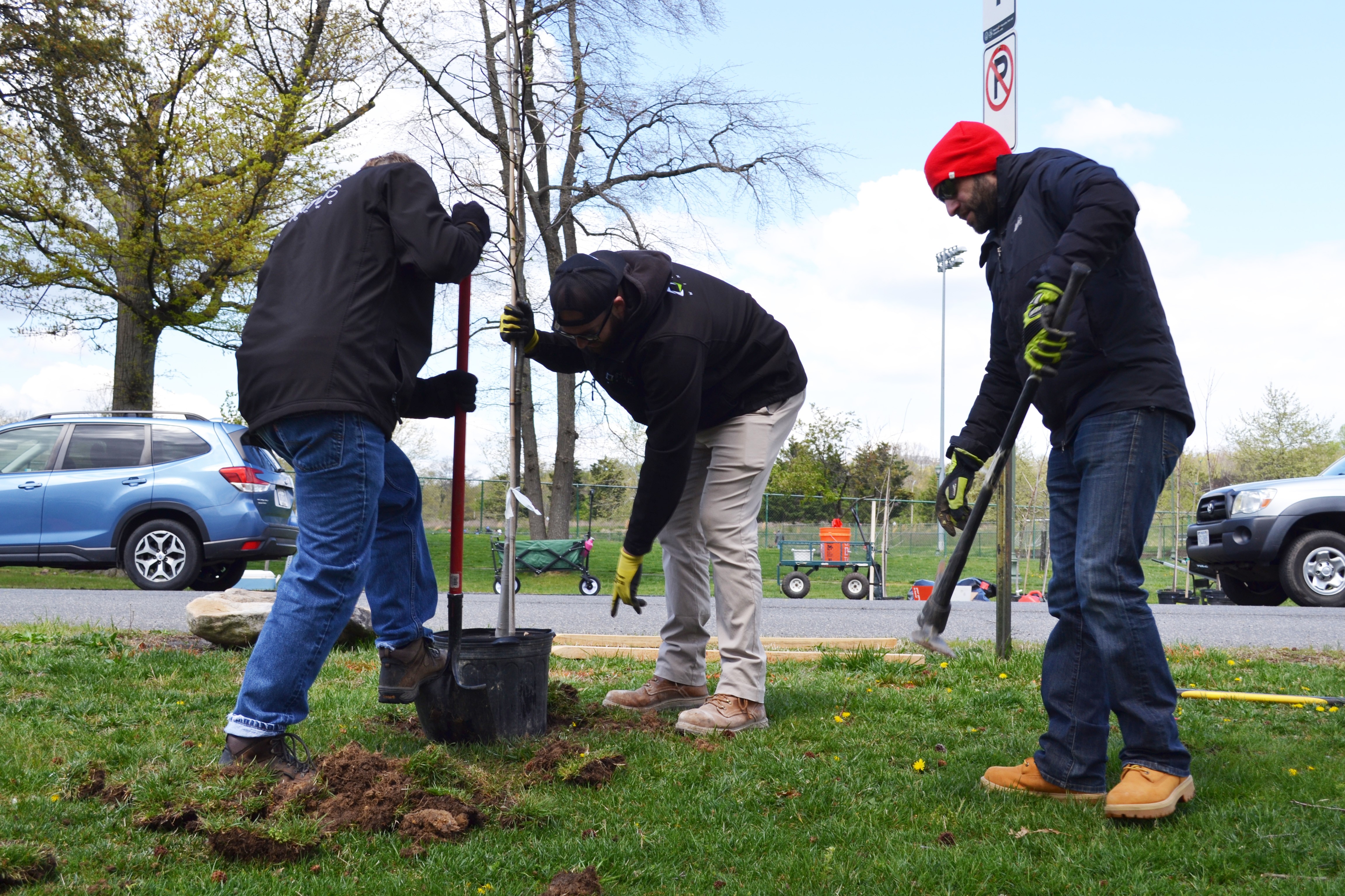 One Window One Tree Initiative by INTUS Windows | Supporting ...