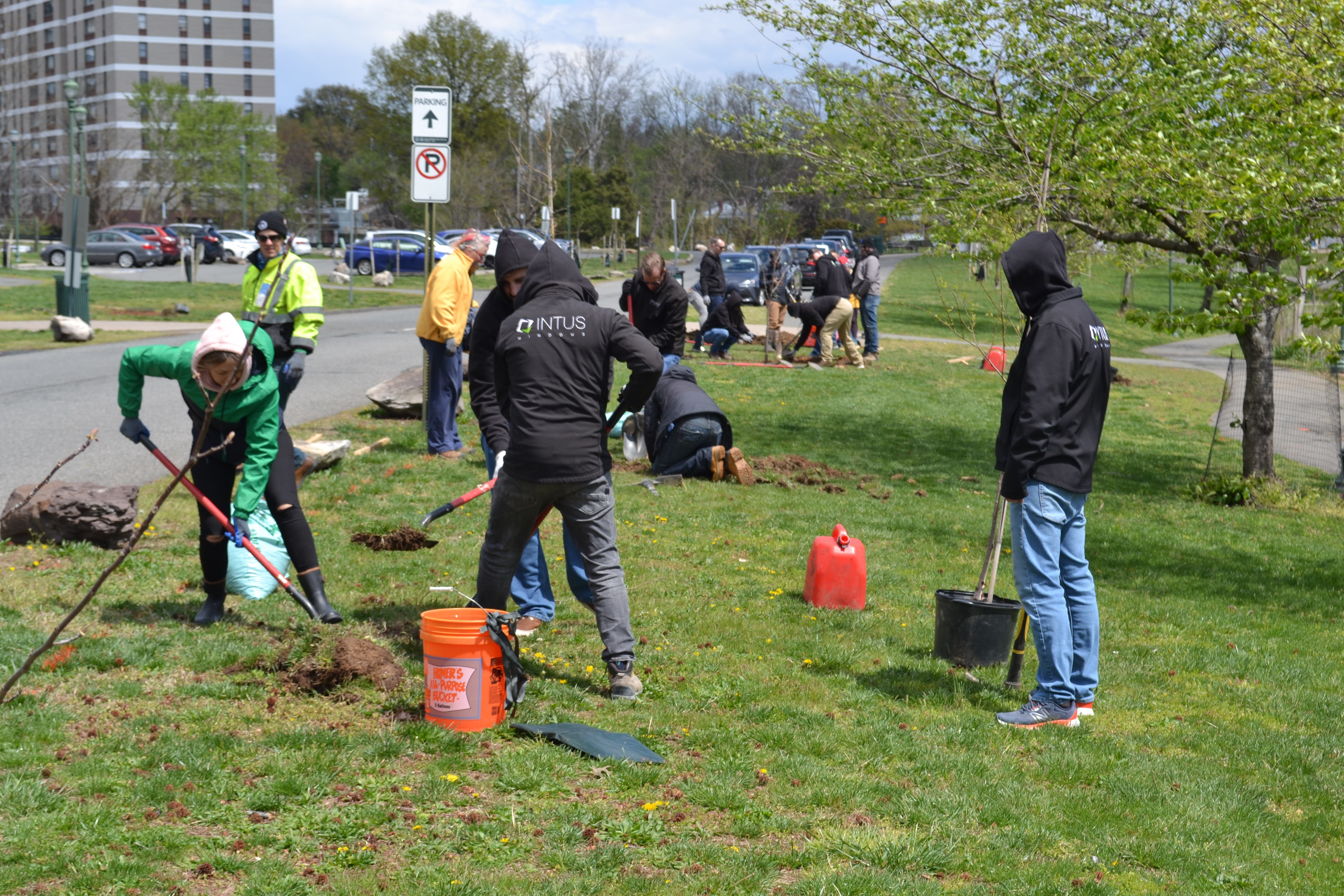 One Window One Tree Initiative by INTUS Windows | Supporting ...
