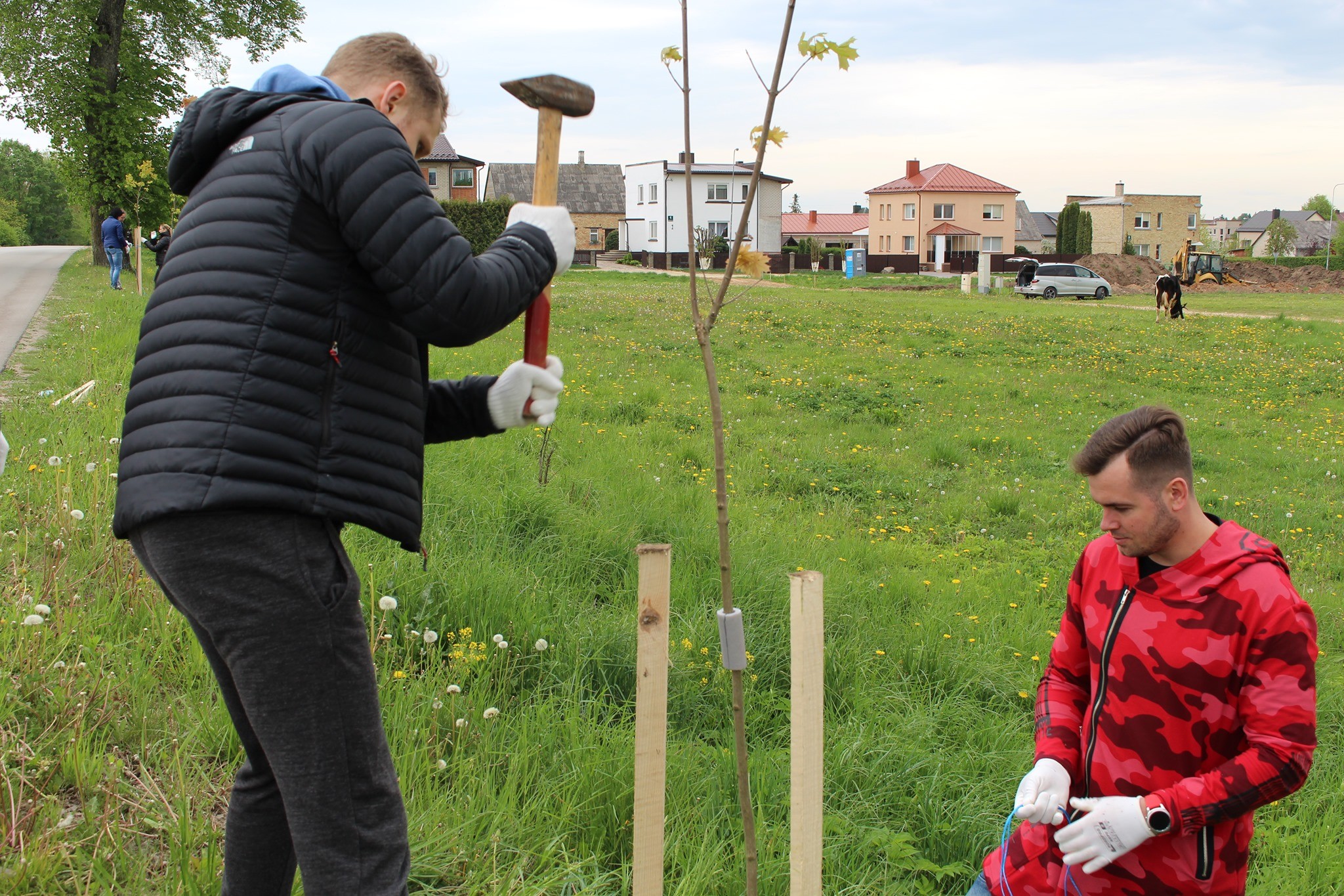 One Window One Tree Initiative by INTUS Windows | Supporting ...